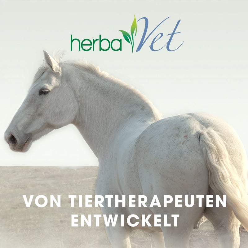 herbaVet – eine einzigartige Therapielinie von cdVet