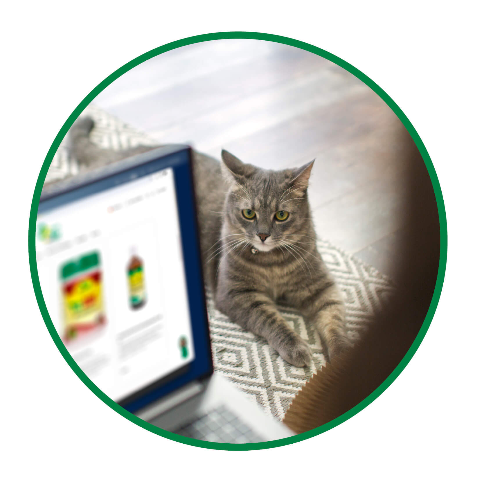 cdVet.de – Ihr Partner für natürliche Tiergesundheit