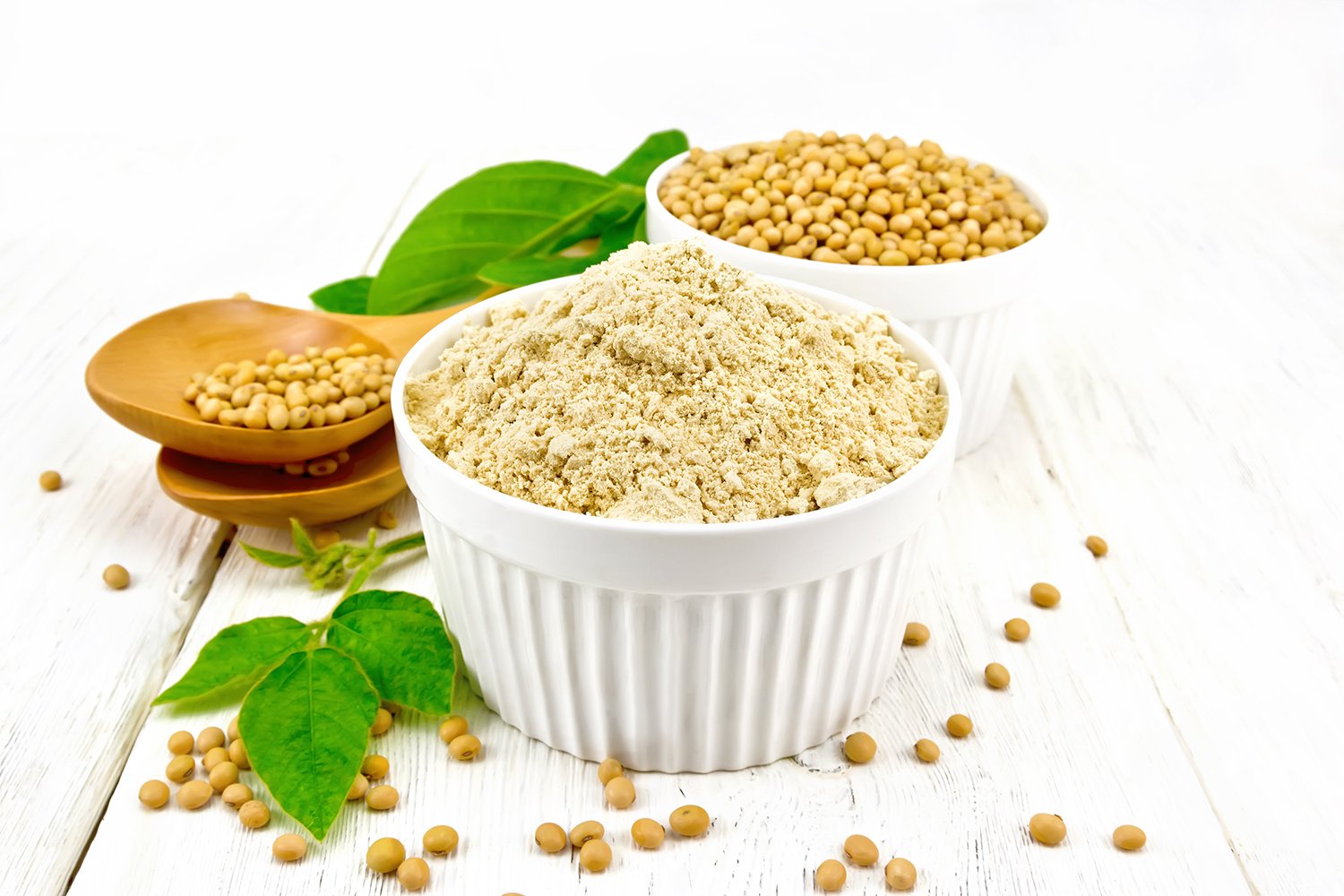 Soja | Natural good Health for your animal