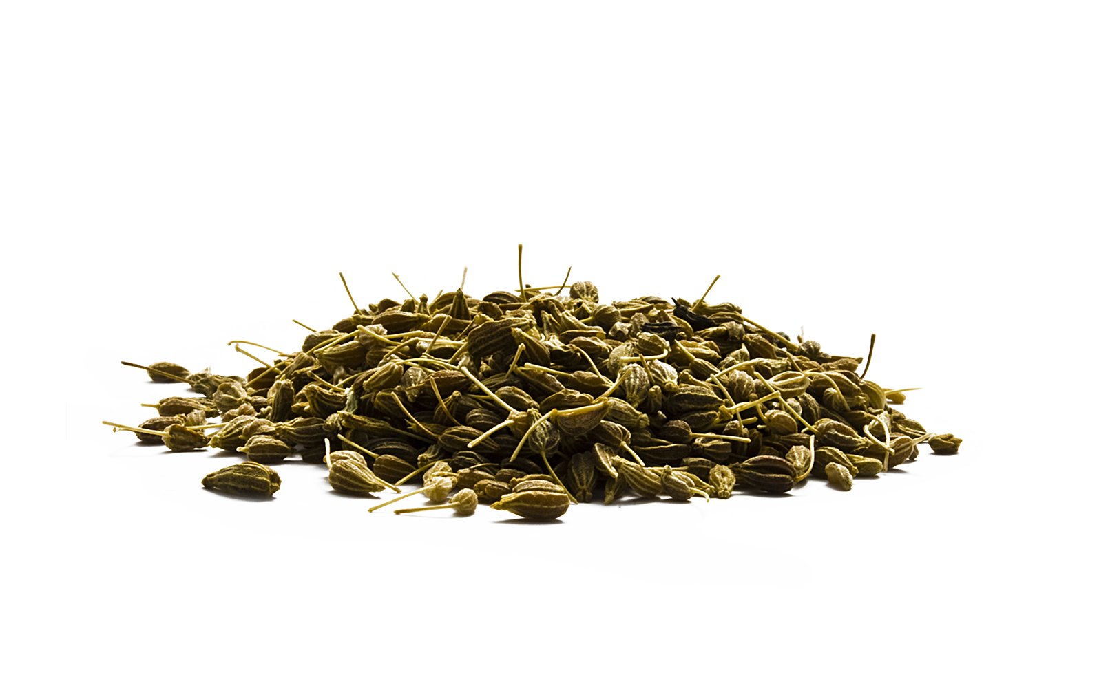 Anise | Natural good Health for your animal