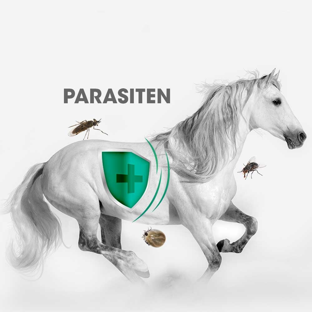 Die Naturprodukte aus dem Hause cdVet für ihr Pferd