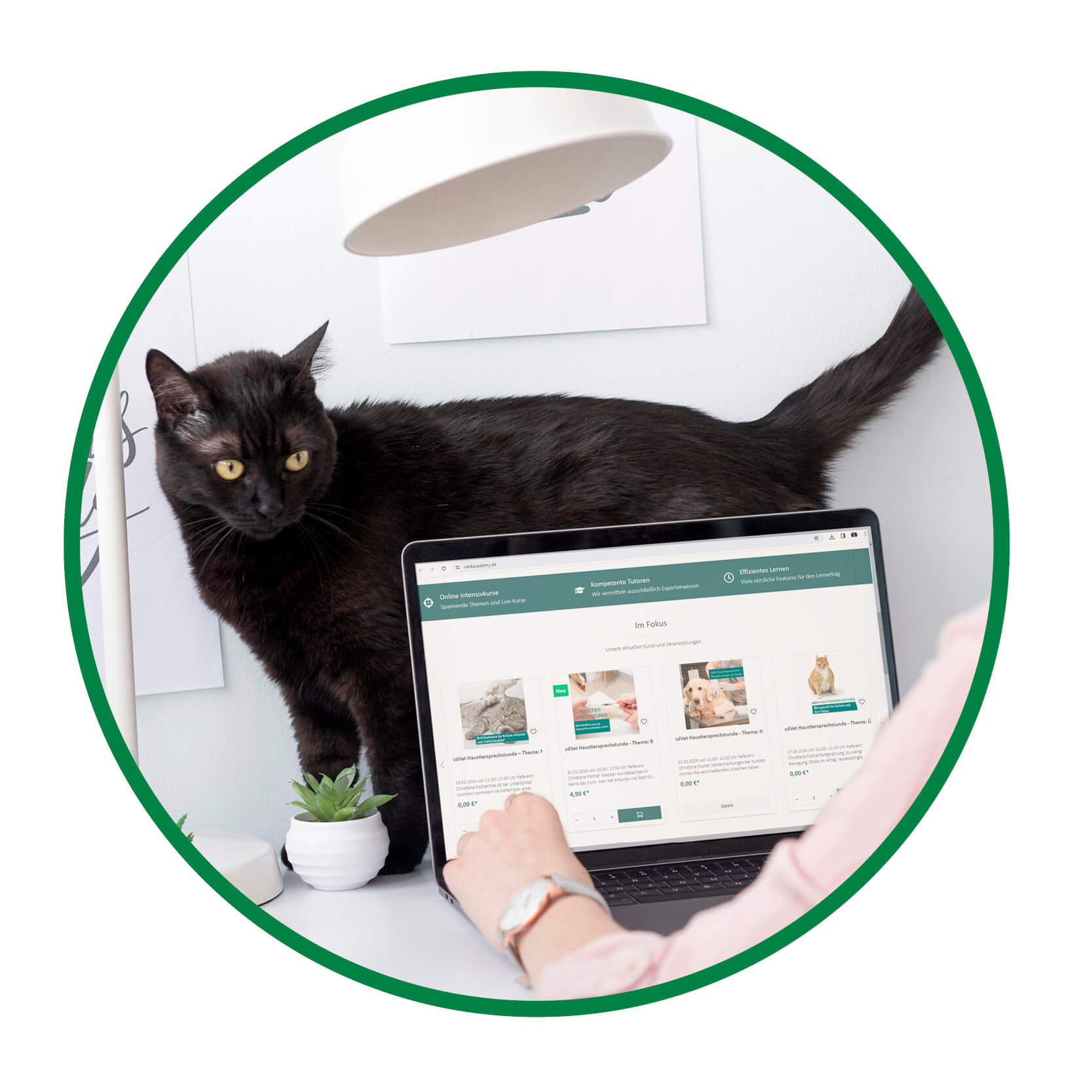 cdVet.de – Ihr Partner für natürliche Tiergesundheit