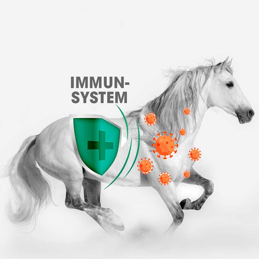 Die Naturprodukte aus dem Hause cdVet für ihr Pferd