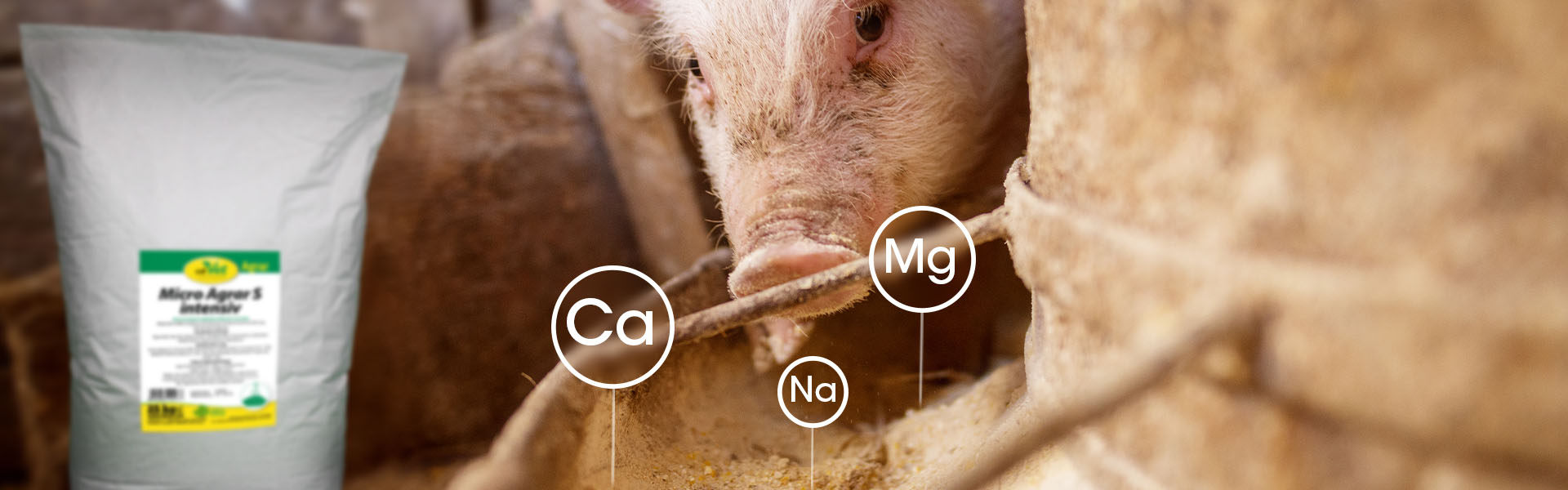 Natural Minerals and metabolic products for pigs by cdVet