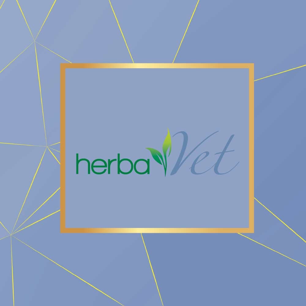 cdVet – Ihr Partner in der Welt der Tiergesundheit