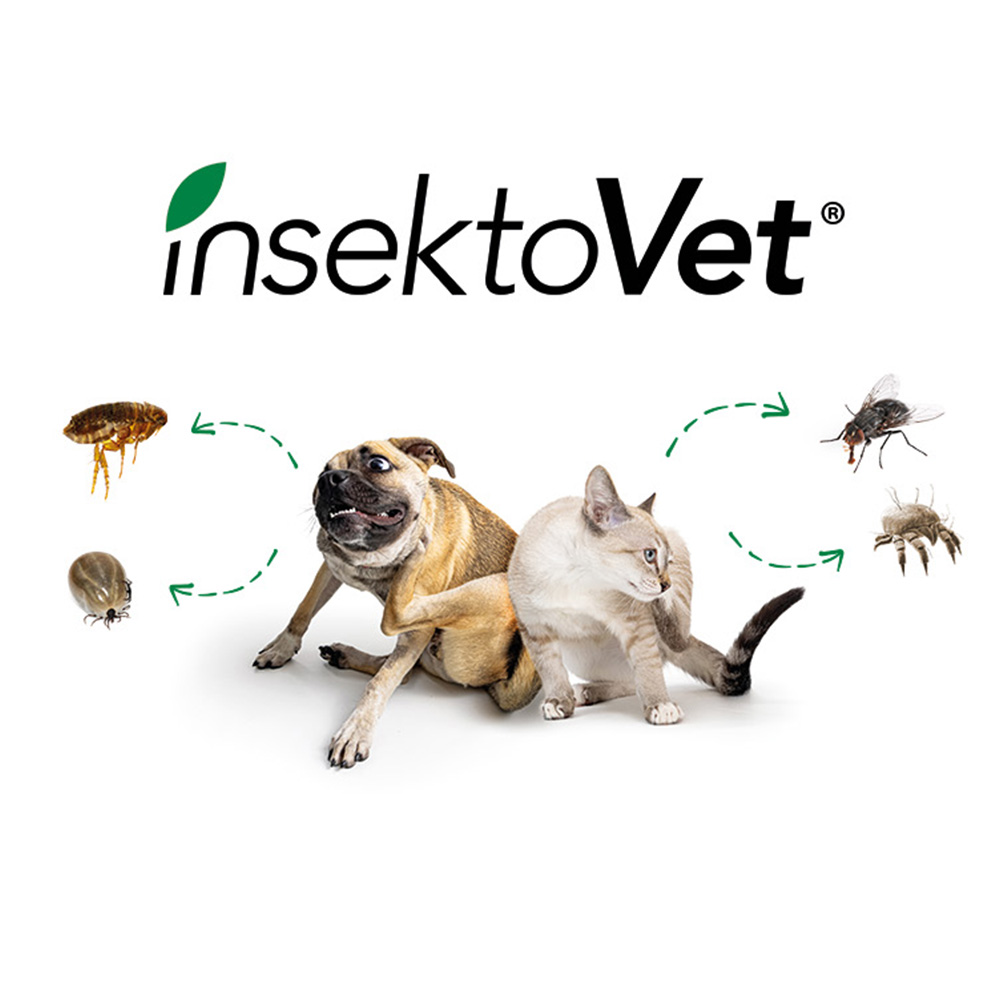 Gesundheitsbibliothek