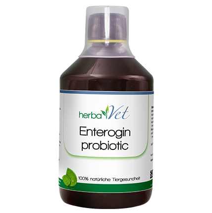 herbaVet Enterogin probiotic