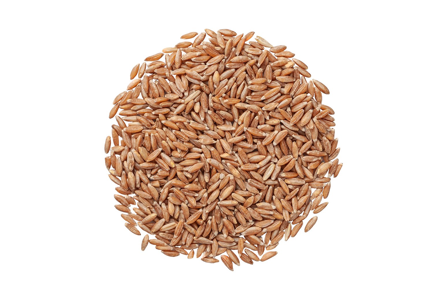 Dinkel | Natürliche Gesundheit für Ihr Tier