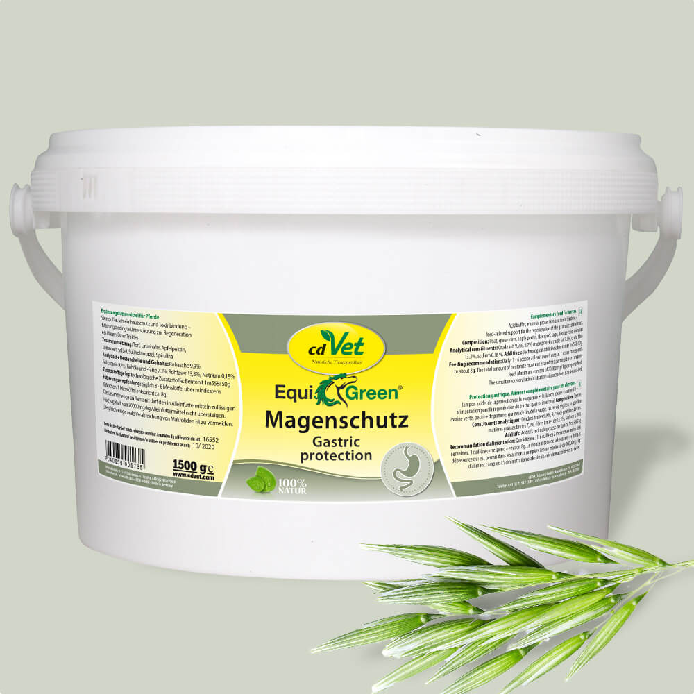 Die Verdauung des Pferdes optimal unterstützen mit EquiGreen