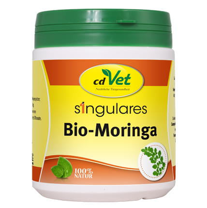 Singulares Bio-Moringa aus ökologischem Anbau