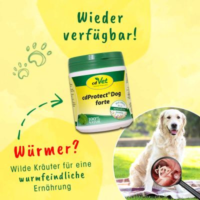 cdVet.de - Ihr Partner für natürliche Tiergesundheit